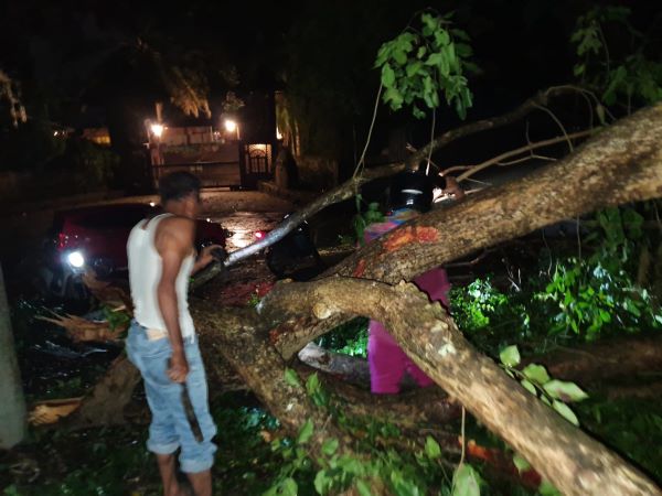 Hujan Badai Landa Batam, 29 Lokasi Pohon Tumbang Akibatkan Gangguan ...