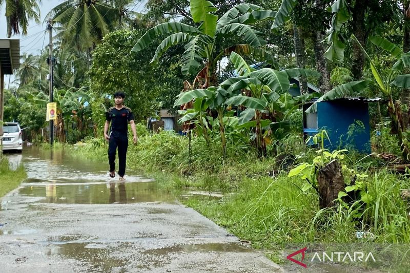 Dinkes Batam imbau masyarakat waspadai DBD di musim hujan - BatamClick.com
